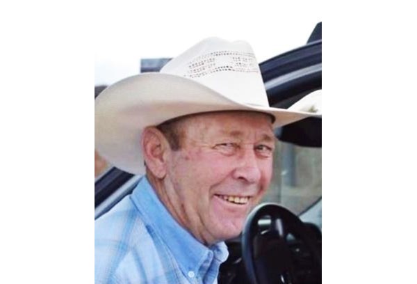 Peter Robinson Obituary (1946 - 2025) - Santo, TX - Palo Pinto Press