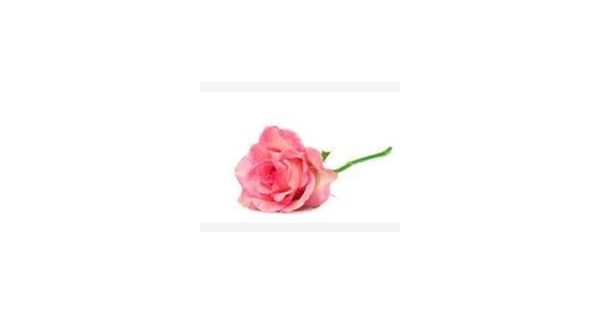 Doreen Barnes Obituary (2026) - Peterborough, Lincolnshire ...
