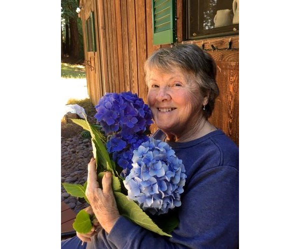 Sheila Hansen Obituary (1934 - 2023) - Occidental, CA - Press Democrat