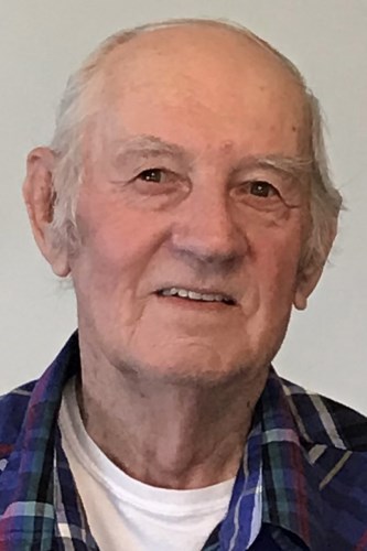 Donald Richardson Obituary (2021) - Viola, IL - The Rock Island ...