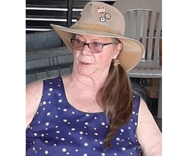 Aliecia Workman Obituary (1949 - 2026) - Sterling, IL - Sauk Valley News