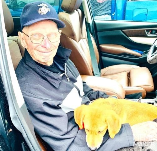 Thomas Griem Obituary (1932 - 2020) - Portsmouth, NH - Seacoastonline.com