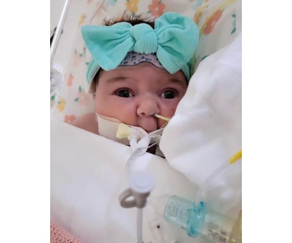 Aria HAXTON Obituary (2025 - 2025) - Spokane, WA - Spokesman-Review