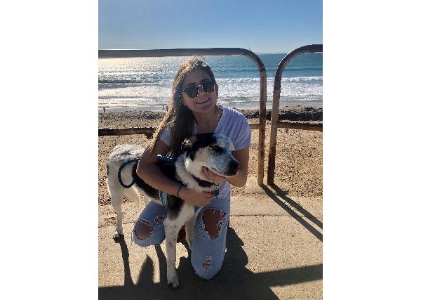 MEGAN SHIRLEY Obituary (1995 - 2020) - Flower Mound, TX - Star Local Media