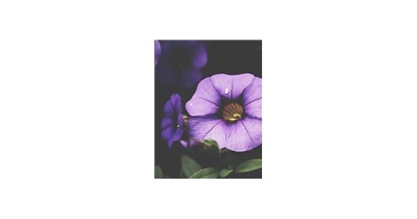 Leah Mini Obituary (1925 - 2024) - Peru, IL - Starved Rock Media