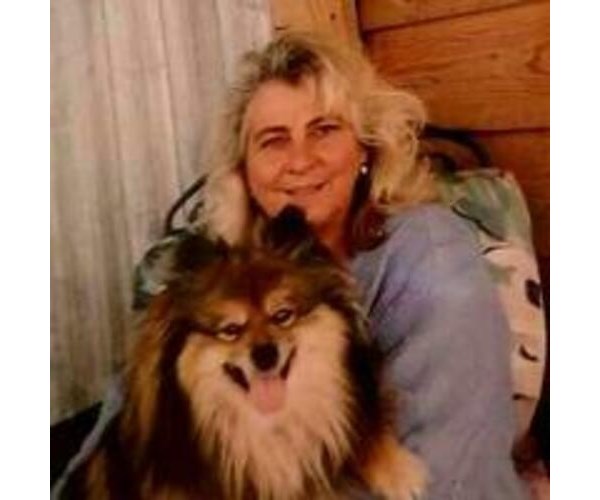 Joyce Johnson Obituary (1945 - 2024) - Rural Retreat, VA - SWVA Today