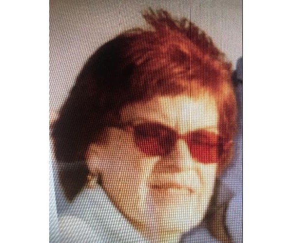 Barbara Chandler Obituary (2020) - Chittenango, NY - Syracuse Post Standard