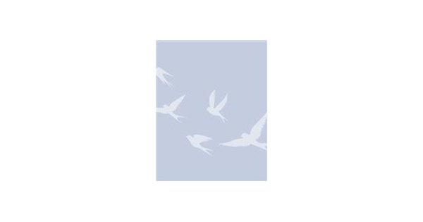 Patricia Lott Obituary (2026) - Augusta, GA - The Augusta Press
