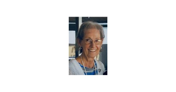 Patricia Elkins Obituary (2020) - Coldwater, MI - The Daily Reporter