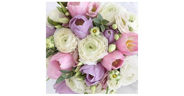 Nicholas Schaub Obituary (2026) - Cedar Rapids, IA - The Gazette