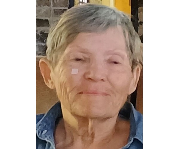 Linnae West Obituary (1952 - 2026) - Marion, IL - The Southern Illinoisan