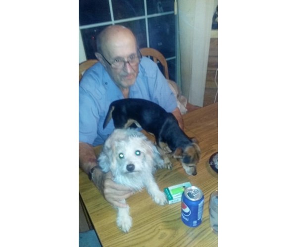 Frederick Strausser Obituary (1942 - 2019) - Gouldsboro, PA - Scranton ...