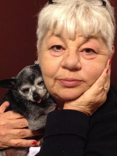 Barbara Vail Obituary (2019) - East Norriton, PA - Scranton Times
