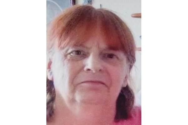 Diana Tilson Obituary (1949 - 2020) - Port Huron, MI - The Times Herald
