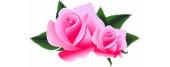 Anne CRANSTON Obituary (2014) - Legacy Remembers