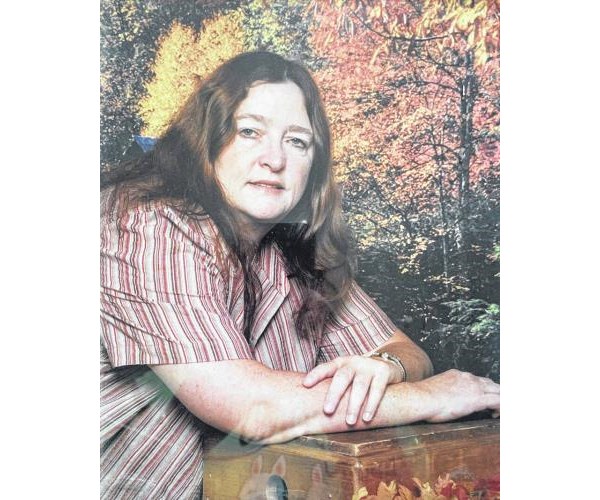 Marlene Stephenson Obituary (1957 - 2026) - Hillsboro, OH - Times Gazette