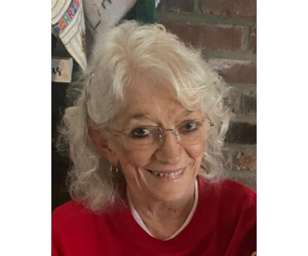 Judith House Obituary (1945 - 2024) - Elizabeth Township, PA - Tribune ...