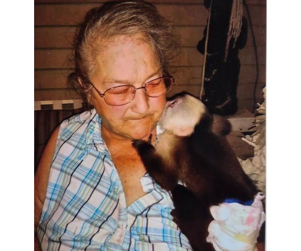 Minnie Johnson Obituary (1948 - 2025) - Seymour, IN - The Tribune