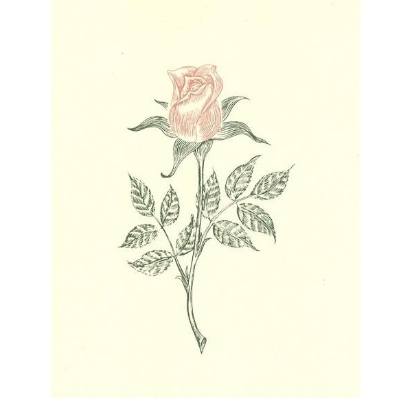 Donna Nusbaum Obituary (2012) - Findlay, OH - Chiles-Laman Funeral ...