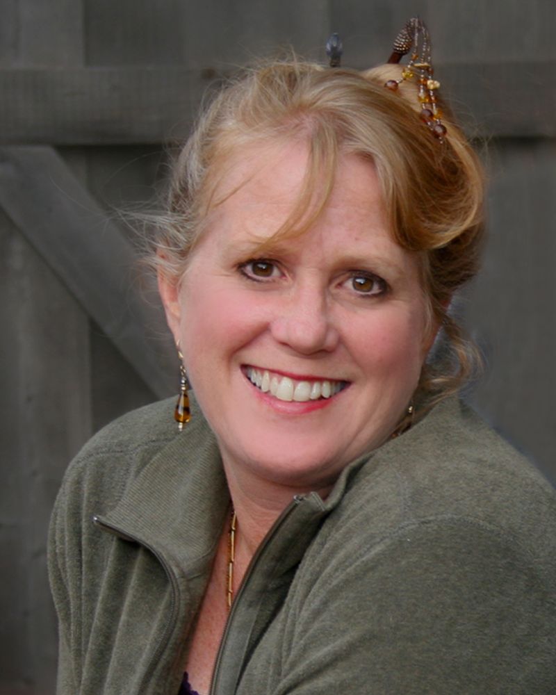 Lisa Dyer Obituary - Death Notice and Service Information