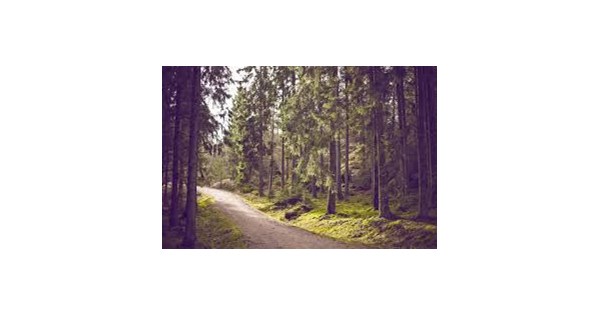 Charles Wenzig Obituary (2017) - Pittsburgh, PA - Anthony G. Staab ...