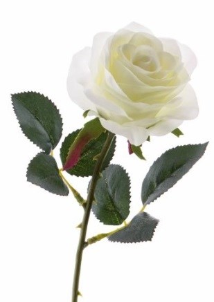 Valerie Cutler Obituary (2024) - Coventry, Warwickshire - WarwickshireWorld