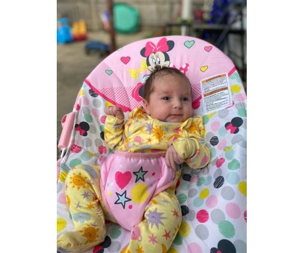 Lyla Stemrich Obituary (2025 - 2025) - Terre Haute, IN - WTHI-TV 10 News