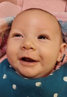 Harper Hampton Obituary (2020 - 2020) - York Haven, PA - York Dispatch