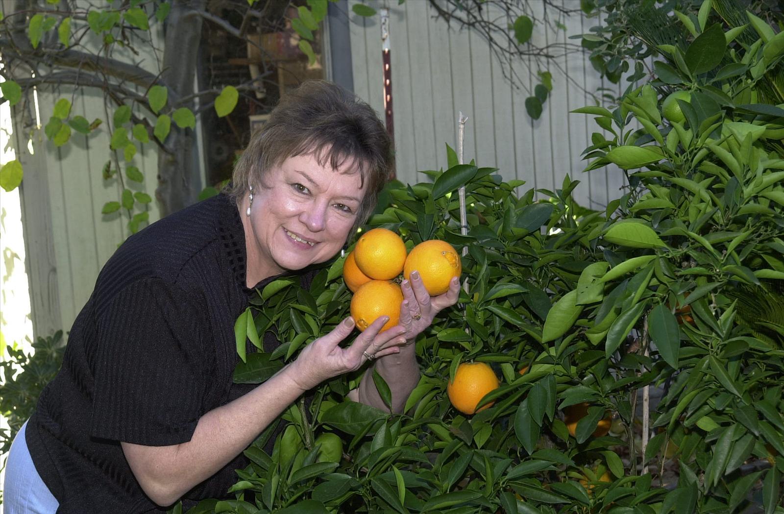 Harold Lewis Obituary (2013) - Santa Ana, CA - Orange County Register
