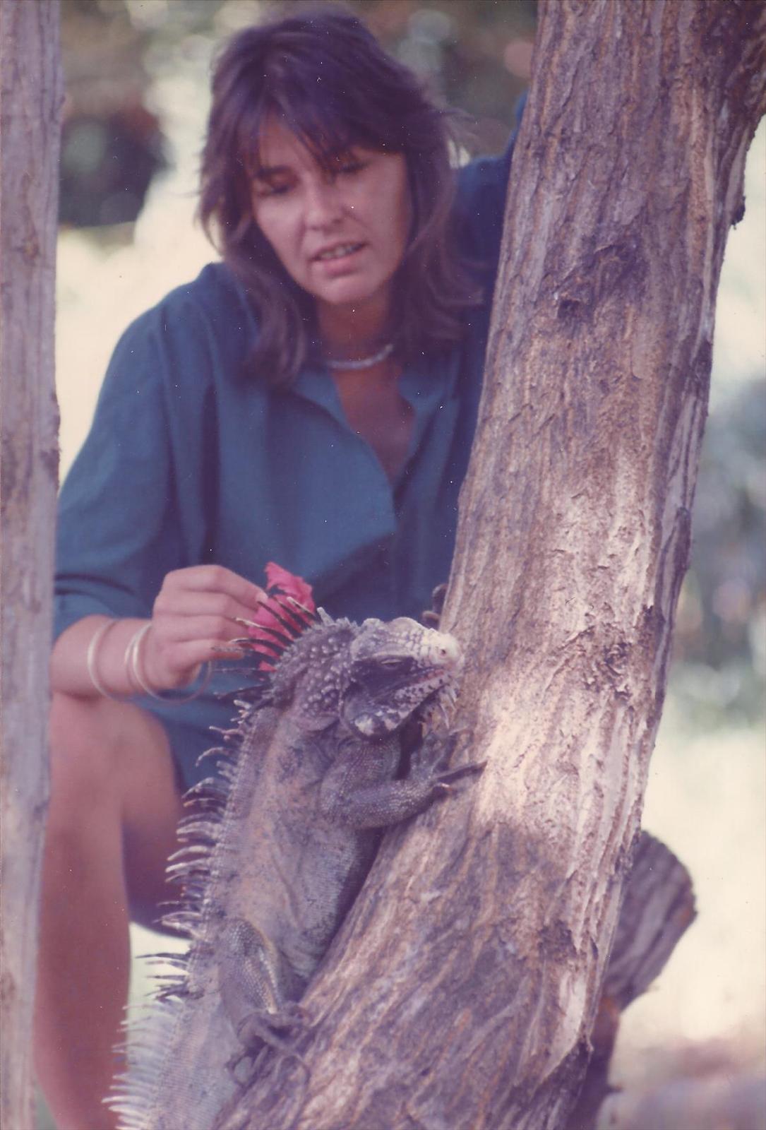 Janet Ludwigson Obituary (2011) - Wilmington, DE - The News Journal