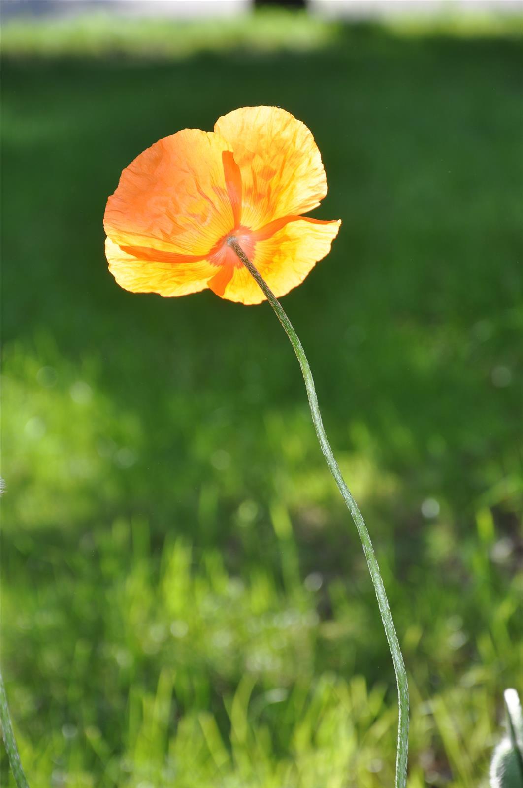 Jerome Patterson Obituary - Death Notice and Service Information