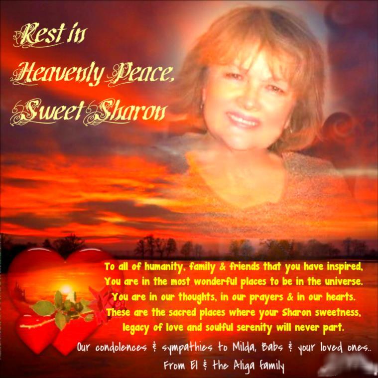 Sharon Metcalf Obituary - Death Notice and Service Information