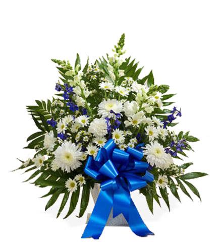 Harold Earley Obituary - Death Notice and Service Information