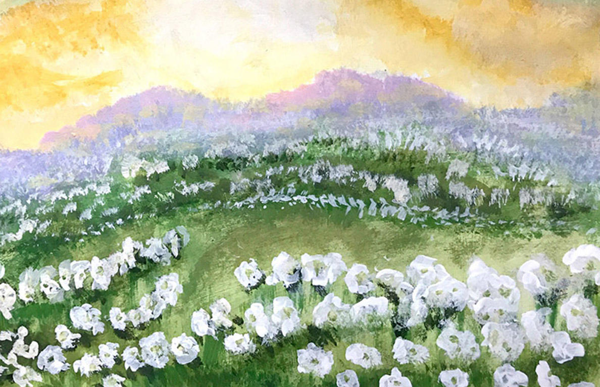 Elizabeth Pearsall Obituary - Death Notice and Service Information