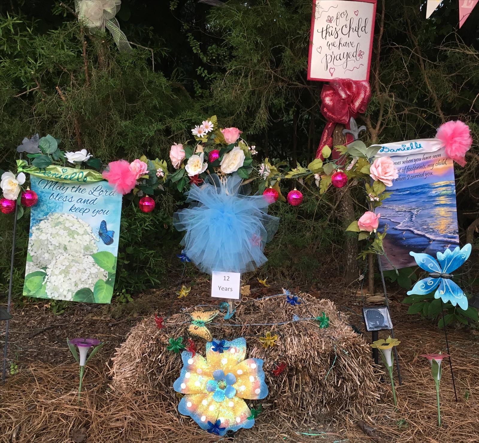 Danielle Liotta Obituary (2007) - Pittsburgh, PA - The Valley News Dispatch
