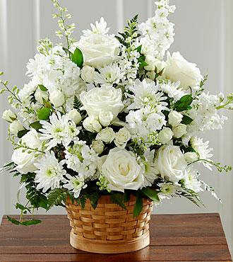 Sherry Shaffer Obituary - Death Notice and Service Information