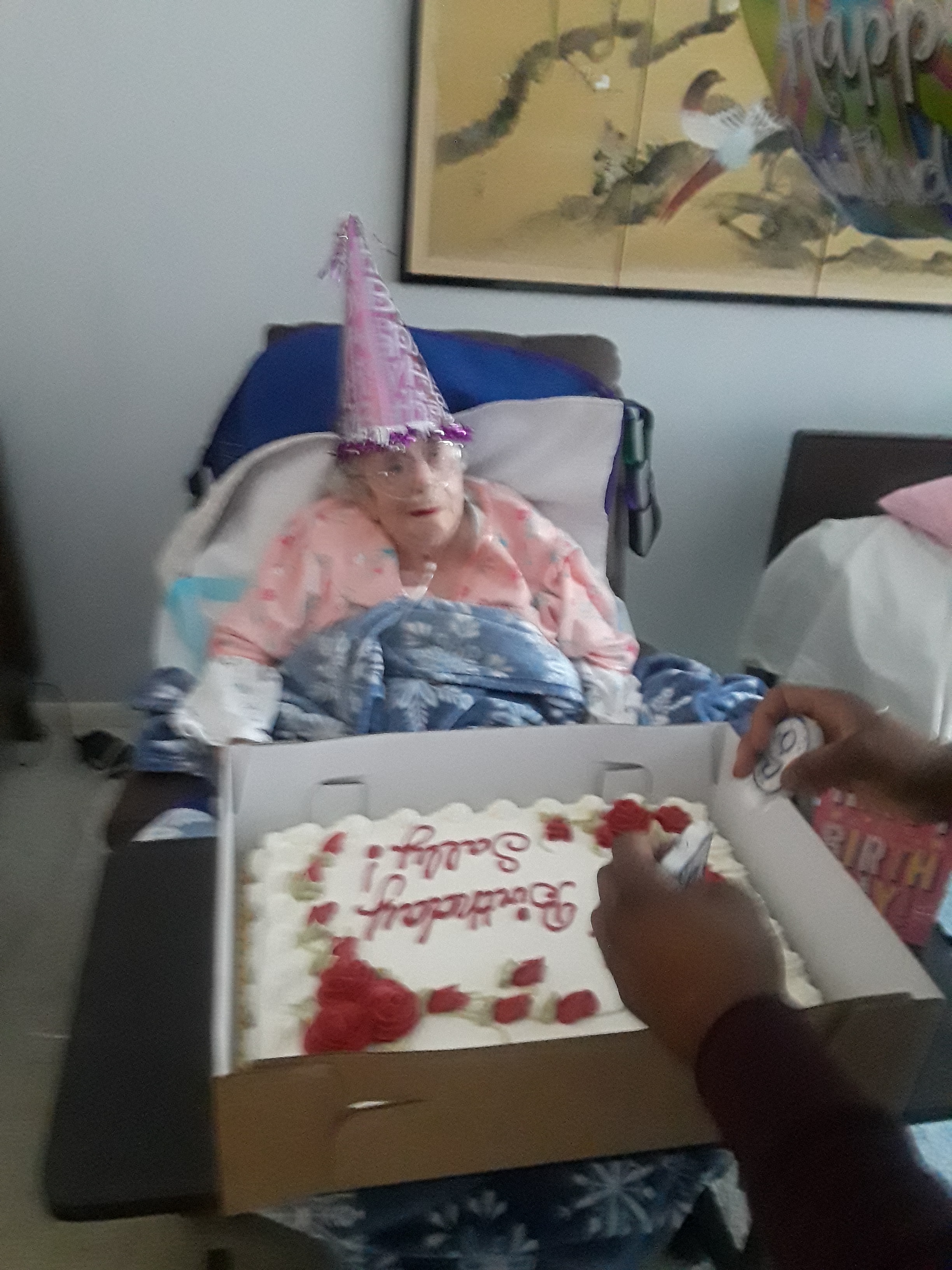 Sally Dineen Obituary (1922 - 2019) - Pittsford, NY - Rochester ...