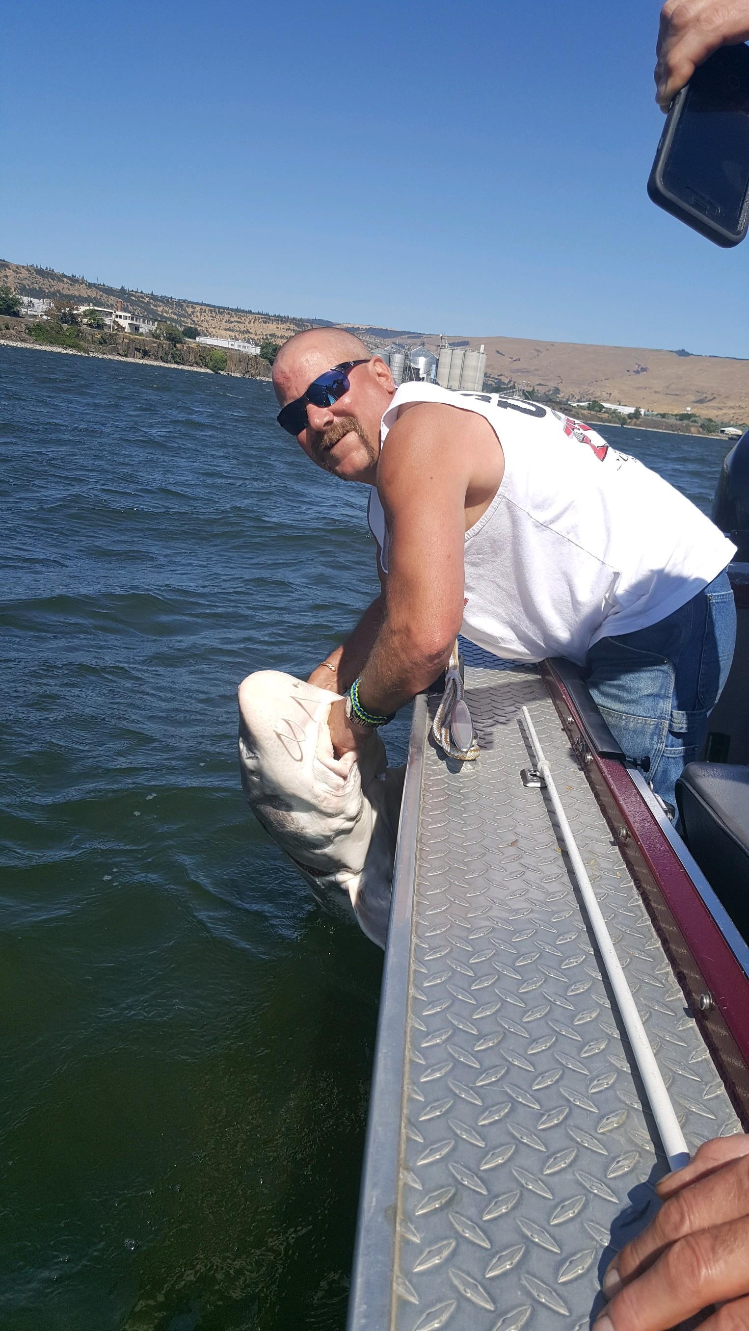 Tim Lindstrom Obituary - Death Notice and Service Information