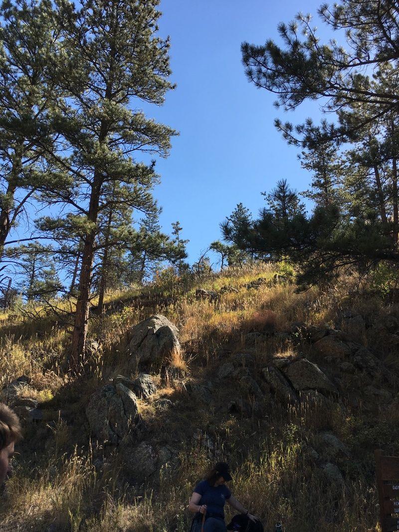 Kristin Weller Obituary - Death Notice and Service Information