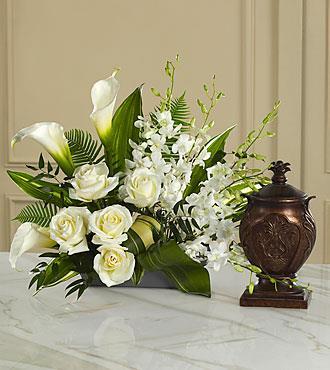 Robert Cerveny Obituary - Death Notice and Service Information