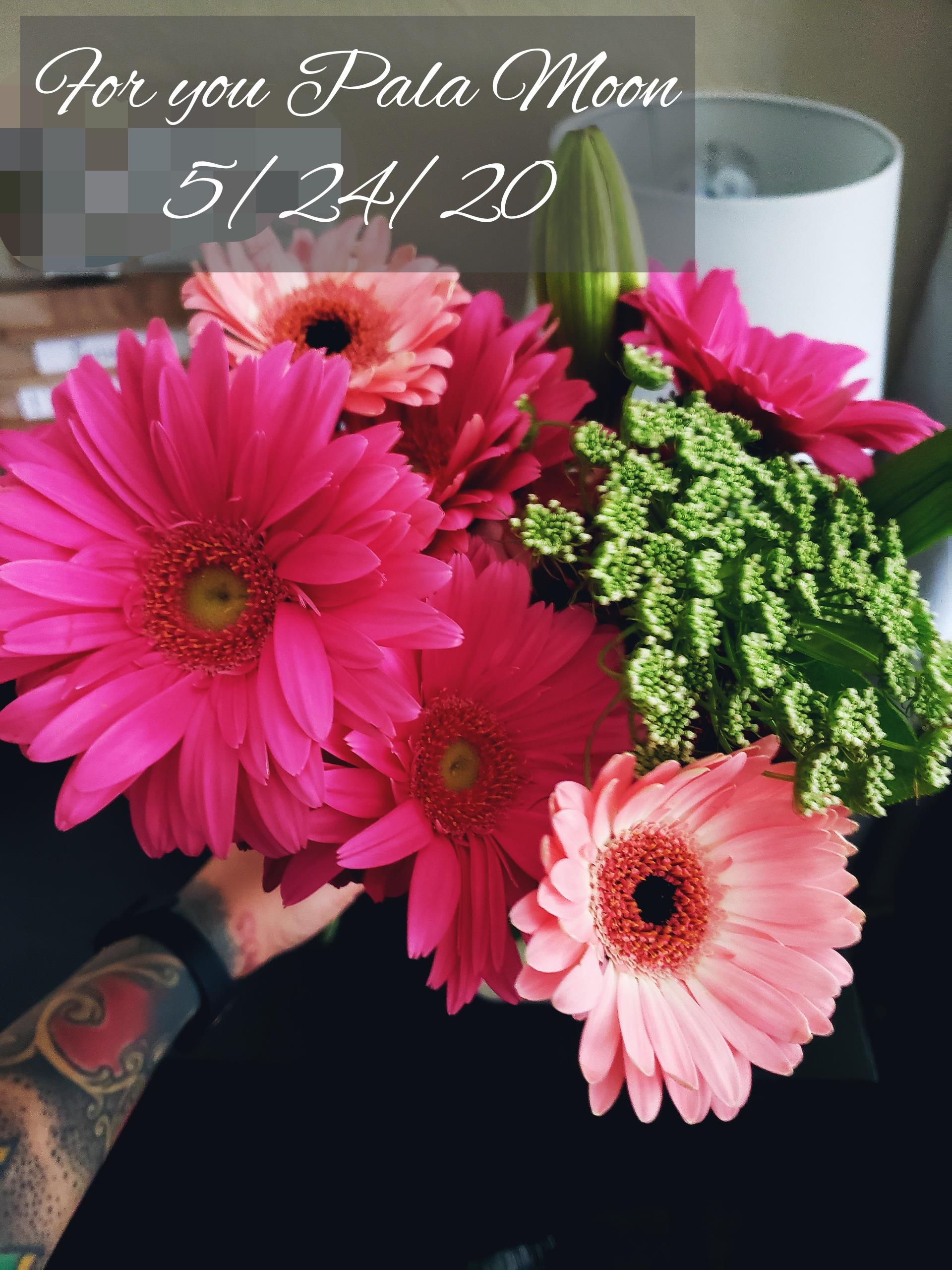 Kassandra Marion-Campos Obituary - Death Notice and Service Information