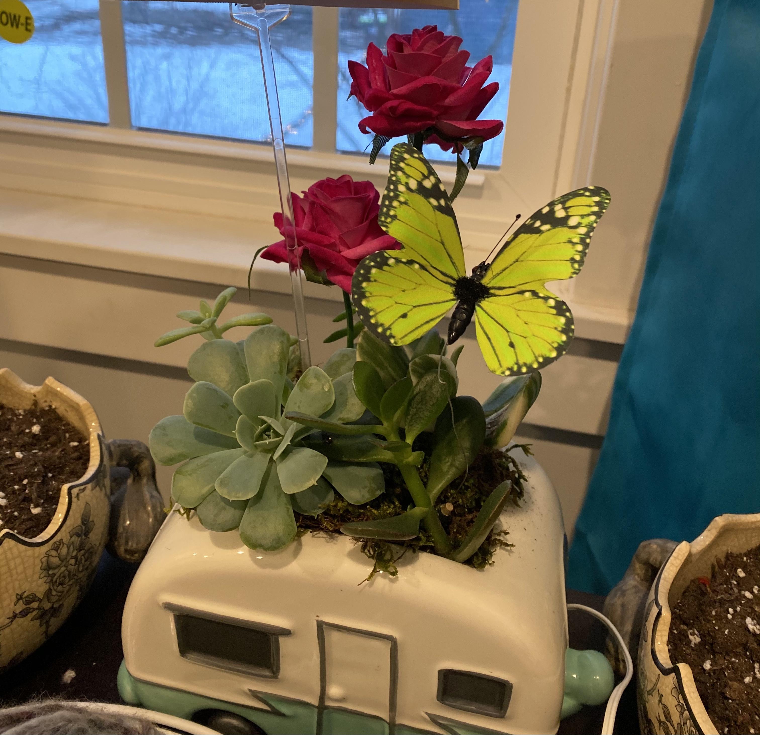Janet Erickson Obituary - Death Notice and Service Information