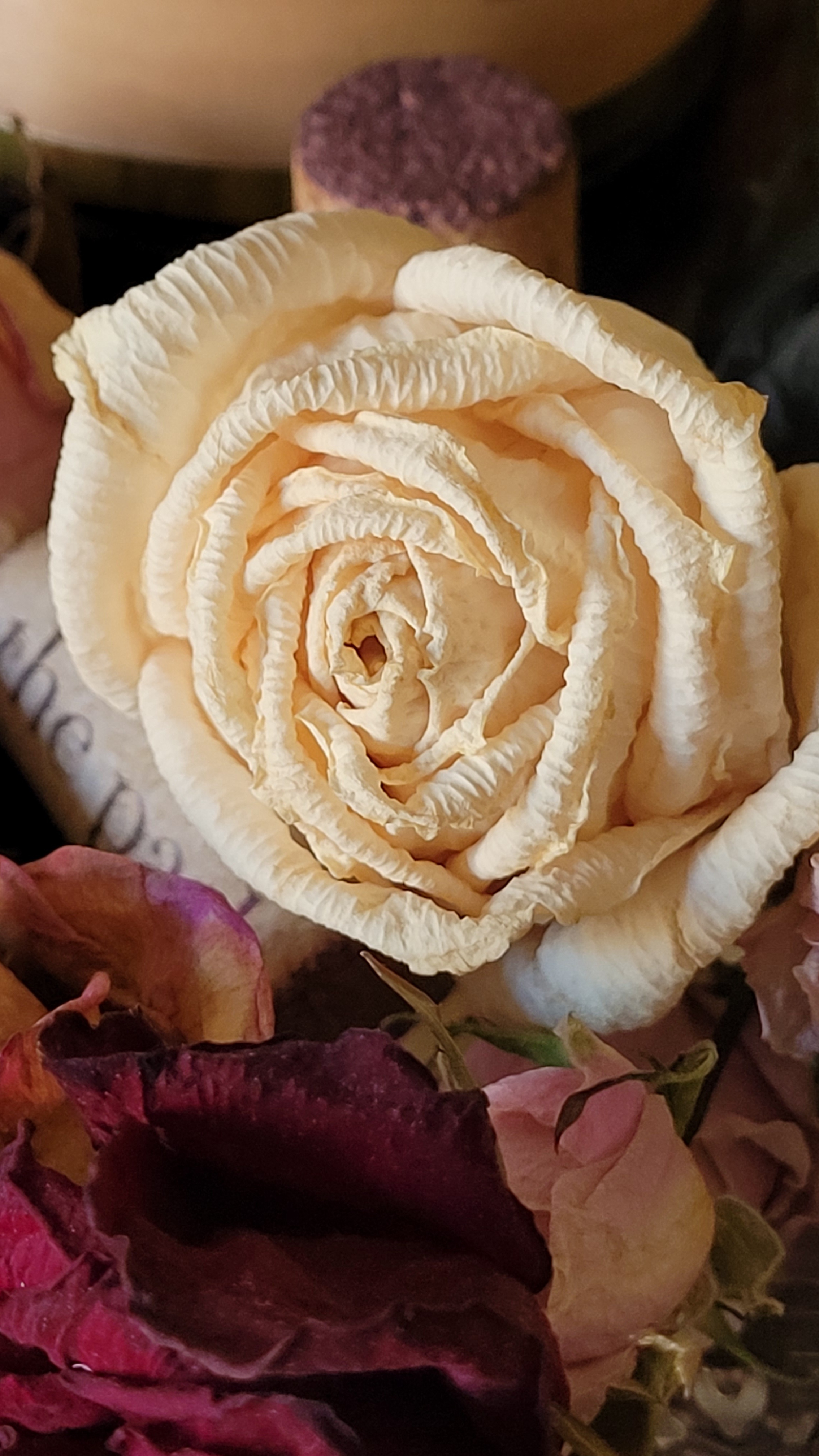 Phyllis Sexton Obituary (1934 - 2022) - North Platte, NE - North Platte ...