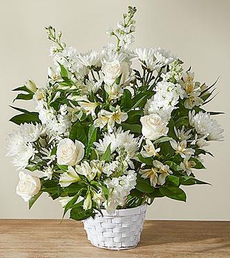 Joseph TRIPI Obituary (2023) - Legacy Remembers