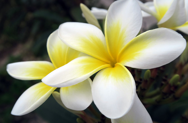 Hope Turney Obituary (1921 - 2022) - Fullerton, CA - Los Angeles Times