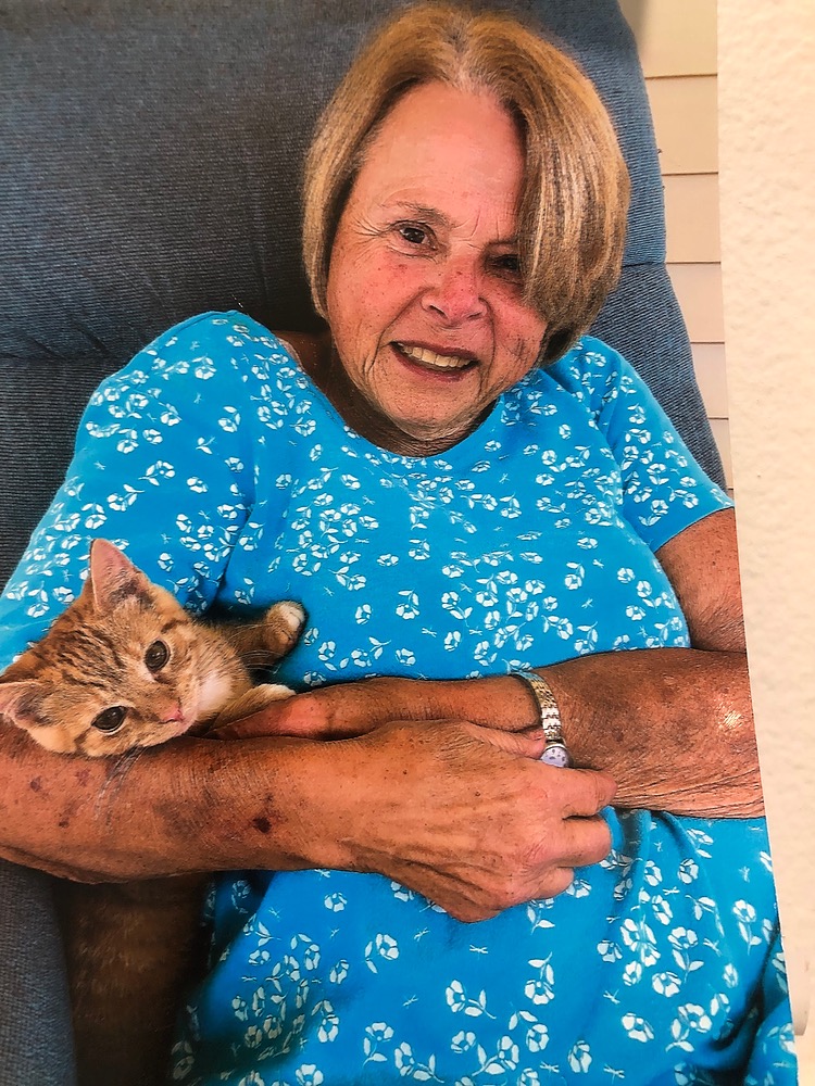 Barbara Shinn Obituary (1946 - 2023) - Legacy Remembers
