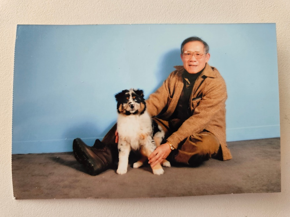 Hwa-shu Long Obituary (1928 - 2023) - Schiller Park, IL - Lake County ...