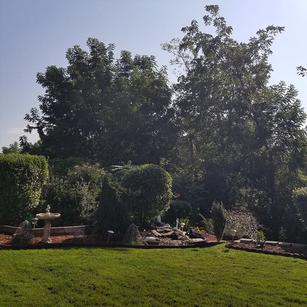 Robert Valenti Obituary (2023) - Meriden, CT - The Record-Journal