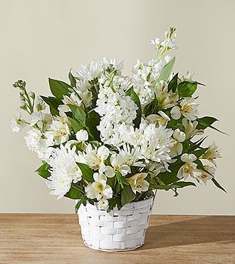 Elisa Dingus Obituary (1938 - 2023) - Kingsport, TN - The Kingsport ...