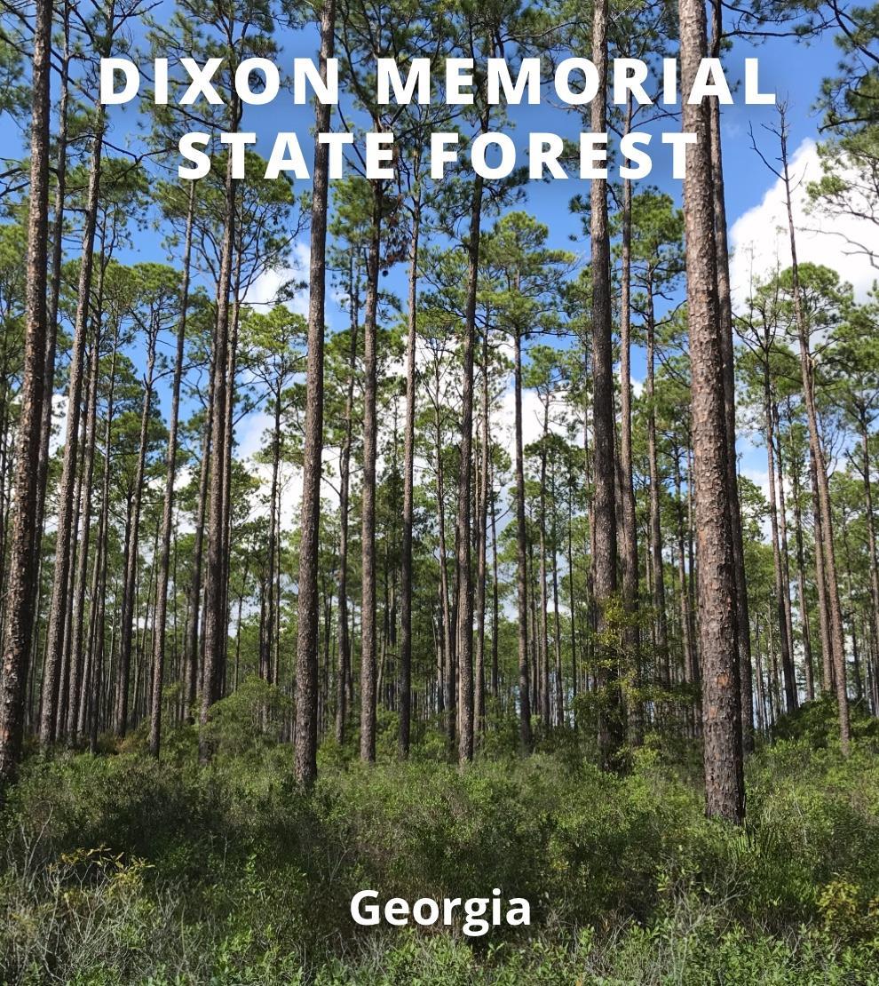 Warren Carter Obituary (1935 - 2024) - Mechanicsville, VA - Richmond ...
